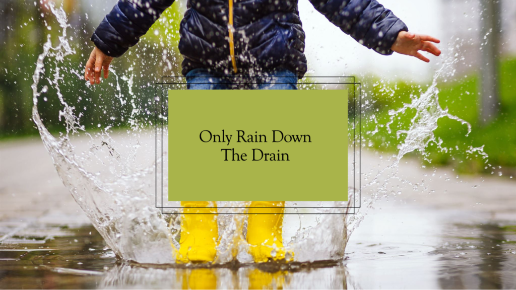Only Rain Down The Drain: The Importance of Keeping Storm Drains Clean ...